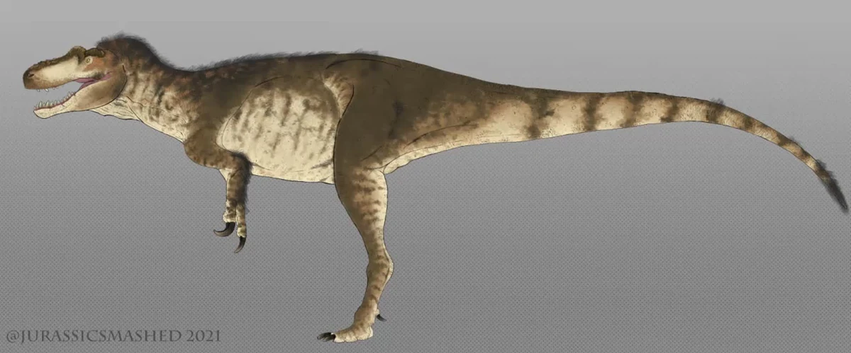 Appalachiosaurus | Dinosaursofworld Wiki | Fandom