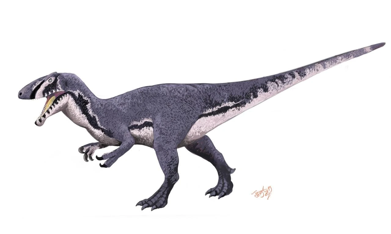 Unnamed Appalachian Carcharodontosaurid | Dinosaursofworld Wiki | Fandom