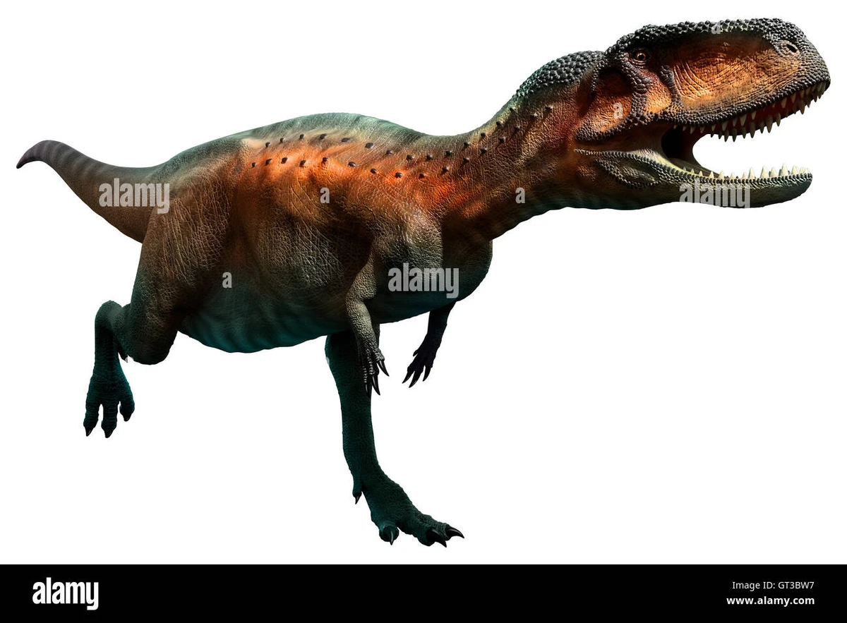 Abelisaurus | Dinosaursofworld Wiki | Fandom