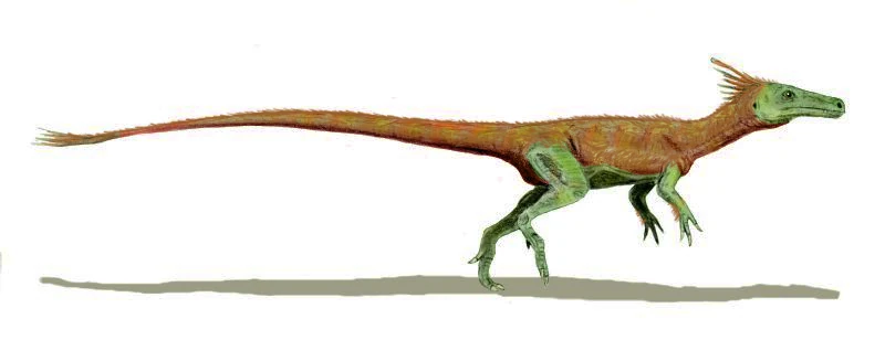 Juravenator | Dinosaursofworld Wiki | Fandom