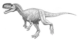 Monolophosaurus | Dinosaursofworld Wiki | Fandom