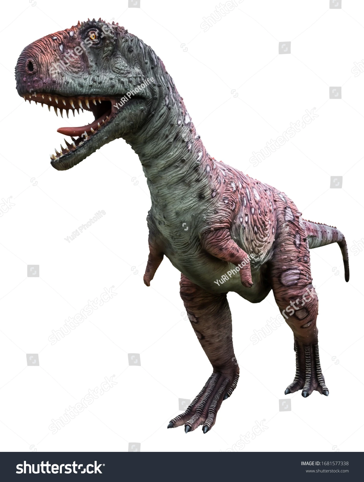 Arcovenator | Dinosaursofworld Wiki | Fandom