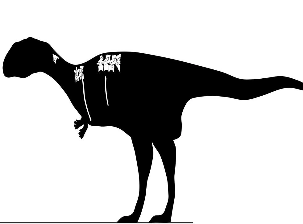 Dahalokely | Dinosaursofworld Wiki | Fandom