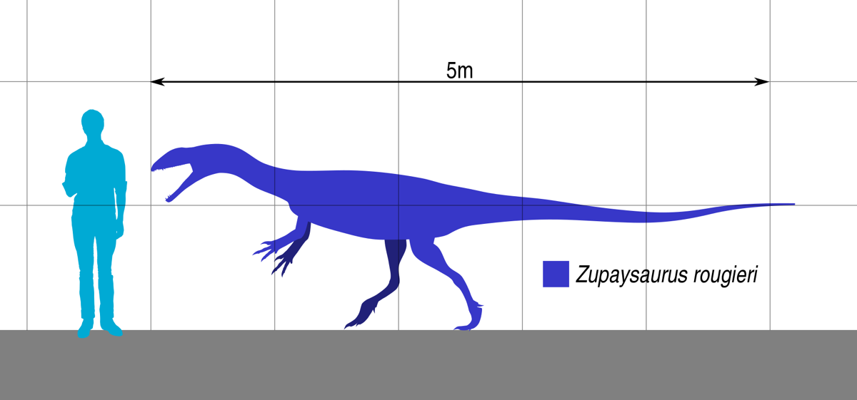 Zupaysaurus | Dinosaursofworld Wiki | Fandom