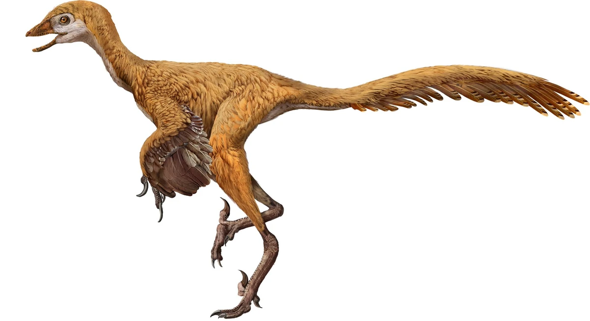 Mei long | Dinosaurs Wiki | Fandom