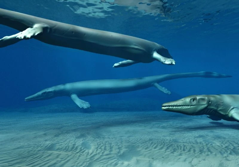 Cretaceous | Dinosaurs Wiki | Fandom