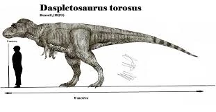 Daspletosaurus | Dinosaurswinxcharmed Wikia | Fandom