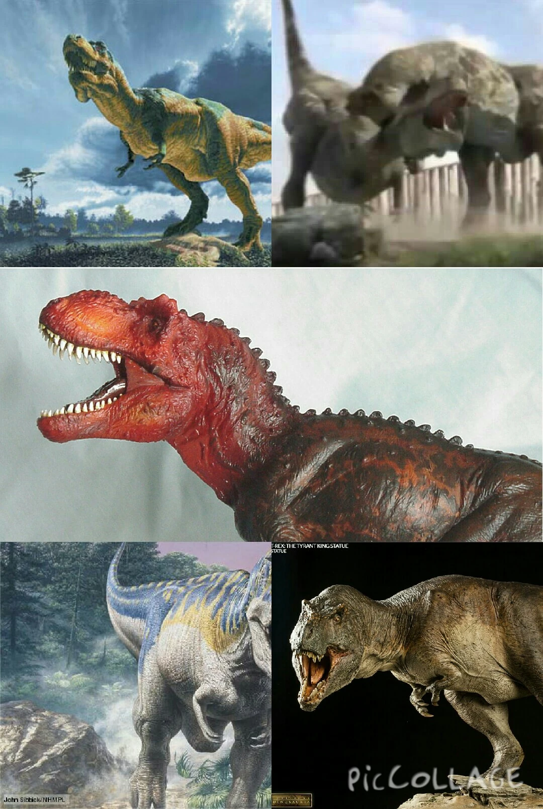 Tyrannosaurus | Dinosaurswinxcharmed Wikia | Fandom