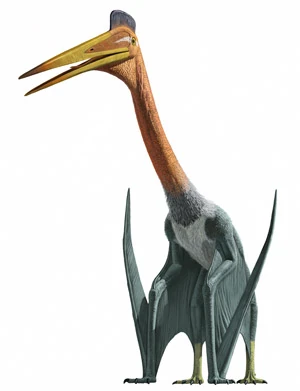 Quetzalcoatlus | Dinosaurus: Dino Facts Wiki | Fandom