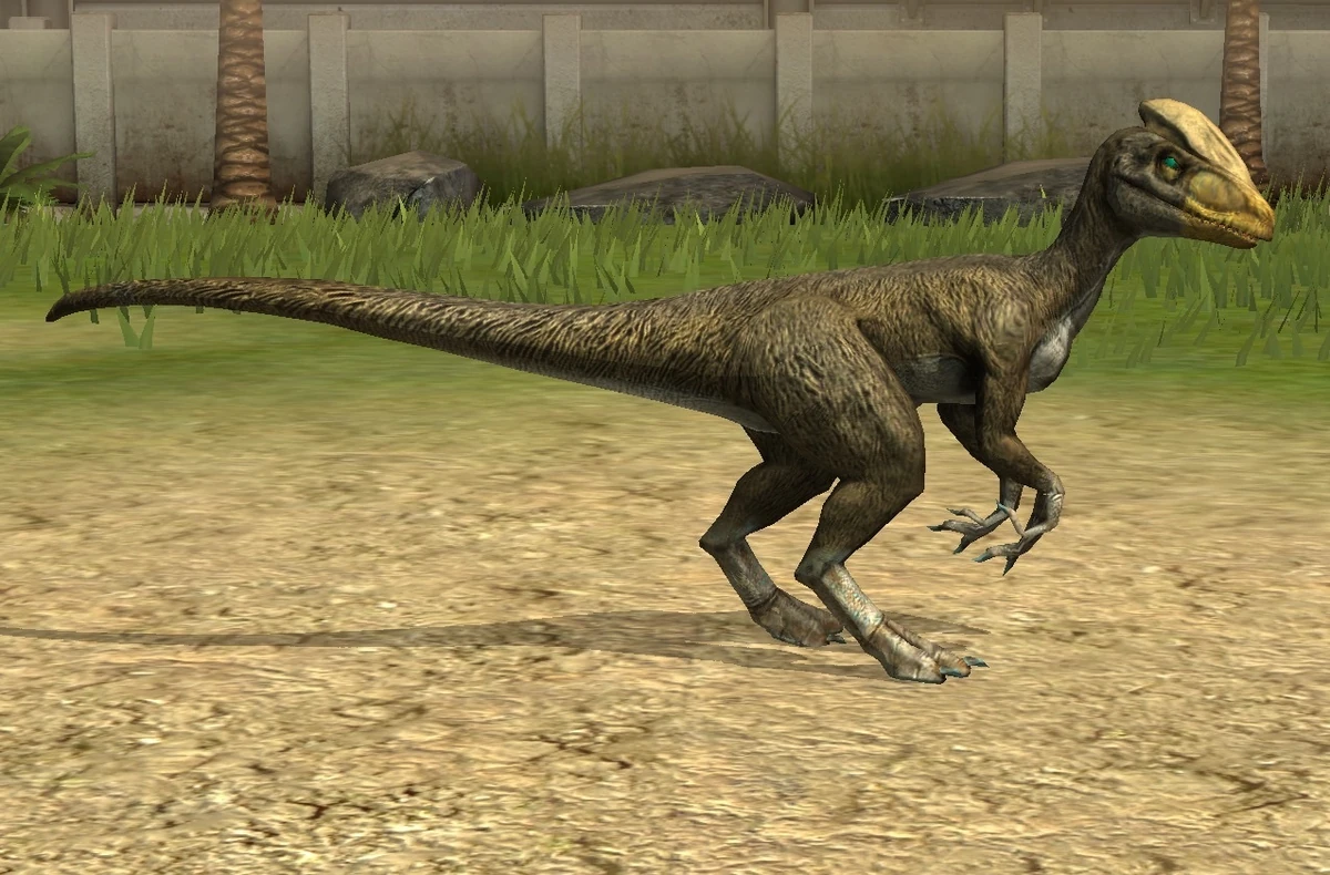 Guanlong | Dinosauruspuisto Wiki | Fandom