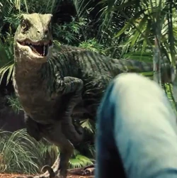 Charlie | Dinosauruspuisto Wiki | Fandom