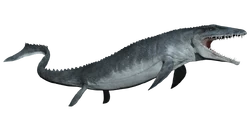 Mosasaurus | Dinosauruspuisto Wiki | Fandom