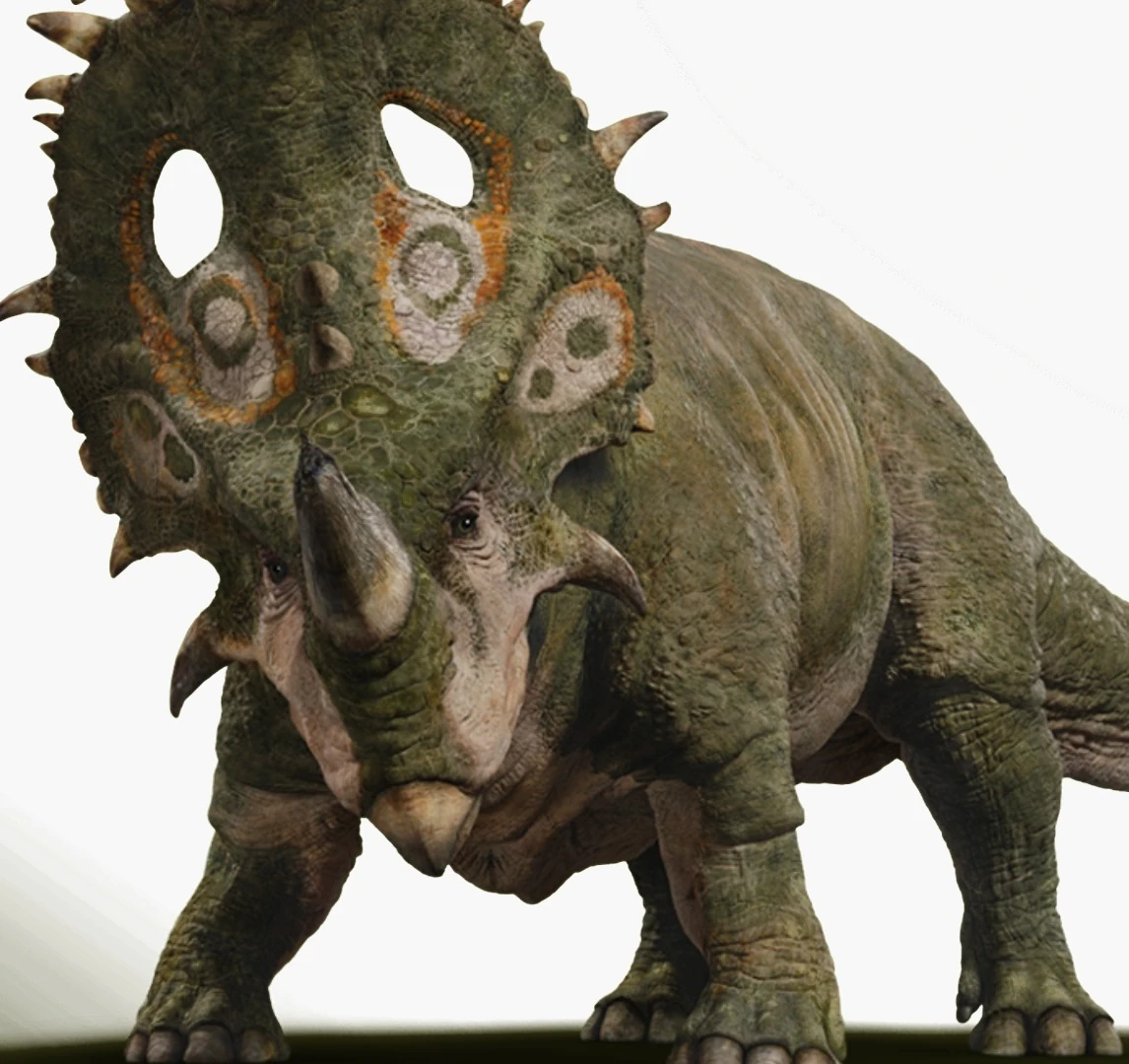 Sinoceratops | Dinosauruspuisto Wiki | Fandom
