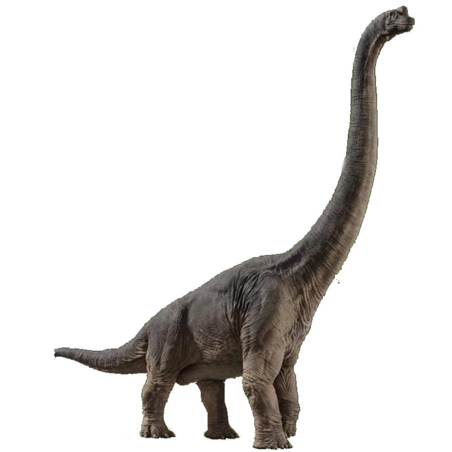 Brachiosaurus | Dinosauruspuisto Wiki | Fandom