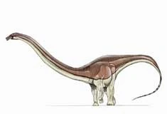 Barosaurus | Dinosauruspuisto Wiki | Fandom