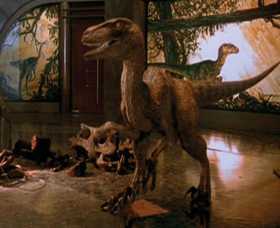 Kim | Dinosauruspuisto Wiki | Fandom