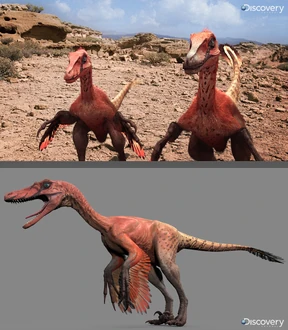 Velocirráptor | Wiki Dinoschool | Fandom