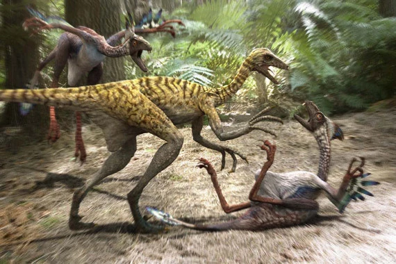 Mit y/o Mírigol | Wiki Dinoschool | Fandom