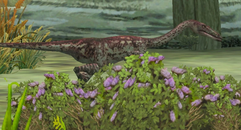 Maybo Parakas | Wiki Dinoschool | Fandom