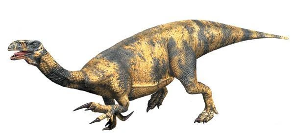 Platter | Wiki Dinoschool | Fandom