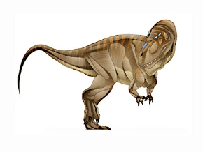 Selioren | Wiki Dinoschool | Fandom