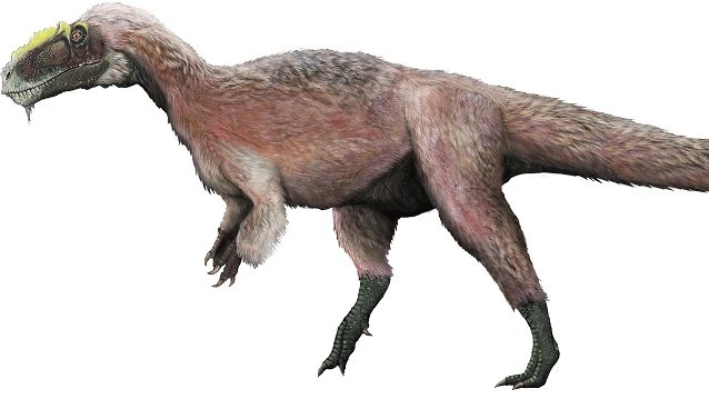 "El Jefe" | Wiki Dinoschool | Fandom