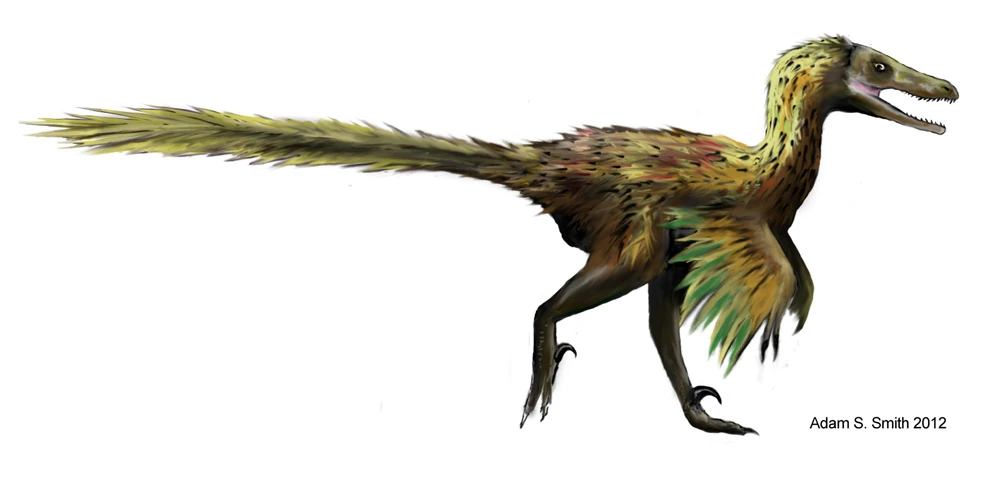 Peter Trok | Wiki Dinoschool | Fandom