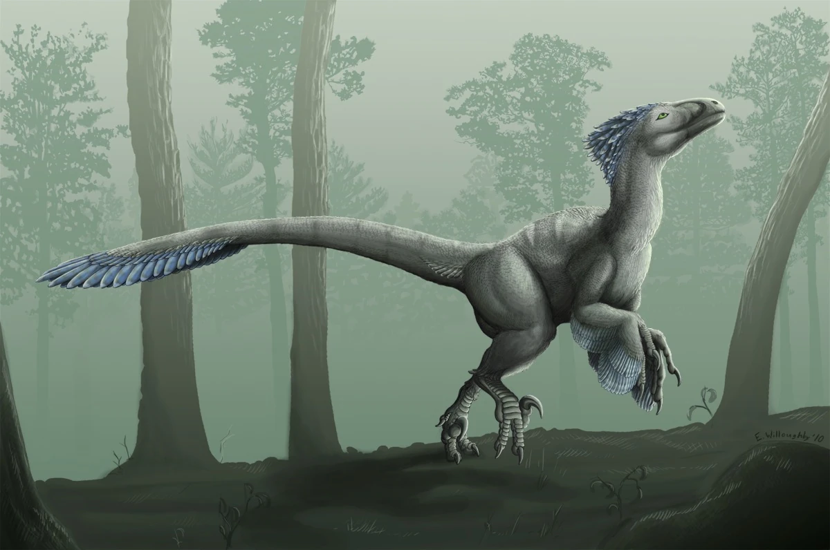 Bóin | Wiki Dinoschool | Fandom