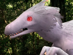 Kassi | Wiki Dinoschool | Fandom