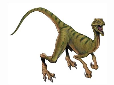 Compsognatos | Wiki Dinoschool | Fandom