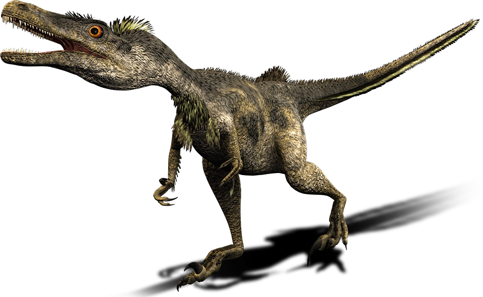 Velocirráptor | Wiki Dinoschool | Fandom