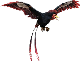 Alexornis | Wiki Dinoschool | Fandom