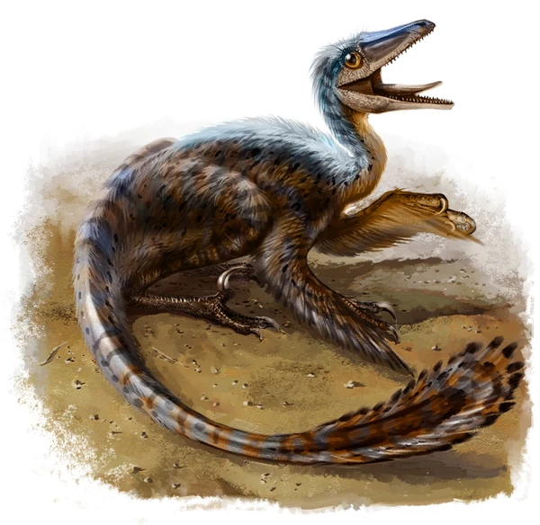 Mei long | Wiki Dinoschool | Fandom