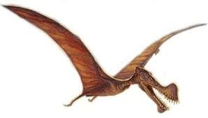 Ornithocheirus | Dinosaur Wiki | Fandom