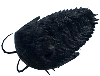 Trilobite | Dinosaur Simulator Wiki | Fandom