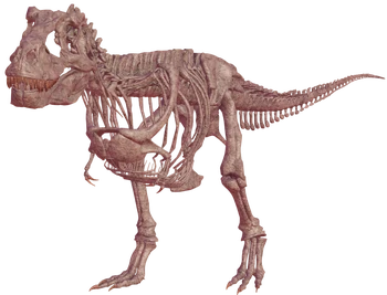 Tyrannosaurus Rex | Dinosaur Simulator Wiki | Fandom