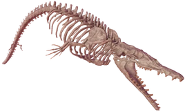 Basilosaurus | Dinosaur Simulator Wiki | Fandom