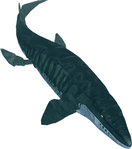 Mosasaurus | Dinosaur Simulator Wiki | Fandom