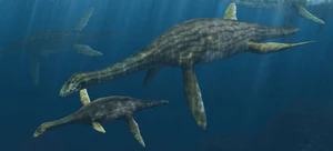 In Real Life | Dinosaur Simulator Wiki | Fandom