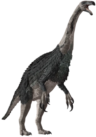 nothronychus