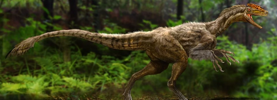 Guanlong | Wiki pre-historia | Fandom