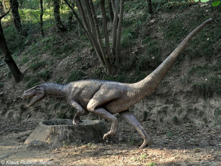 Gojirassauro | Wiki pre-historia | Fandom