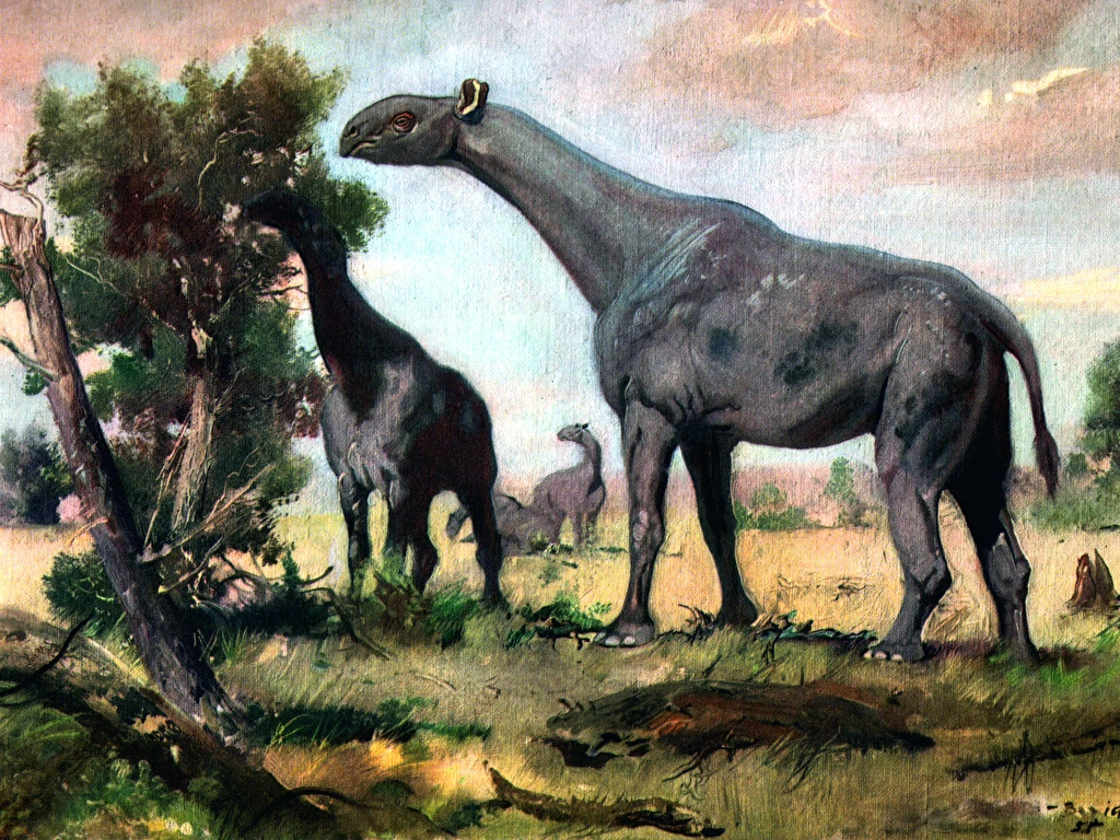 Paraceratério | Wiki pre-historia | Fandom