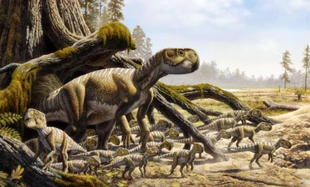 Psitacossauro | Wiki pre-historia | Fandom