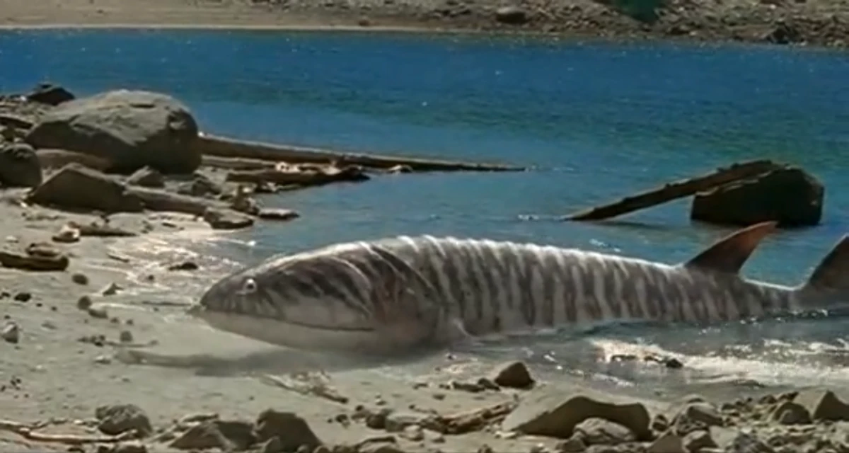 Hyneria | Wiki pre-historia | Fandom