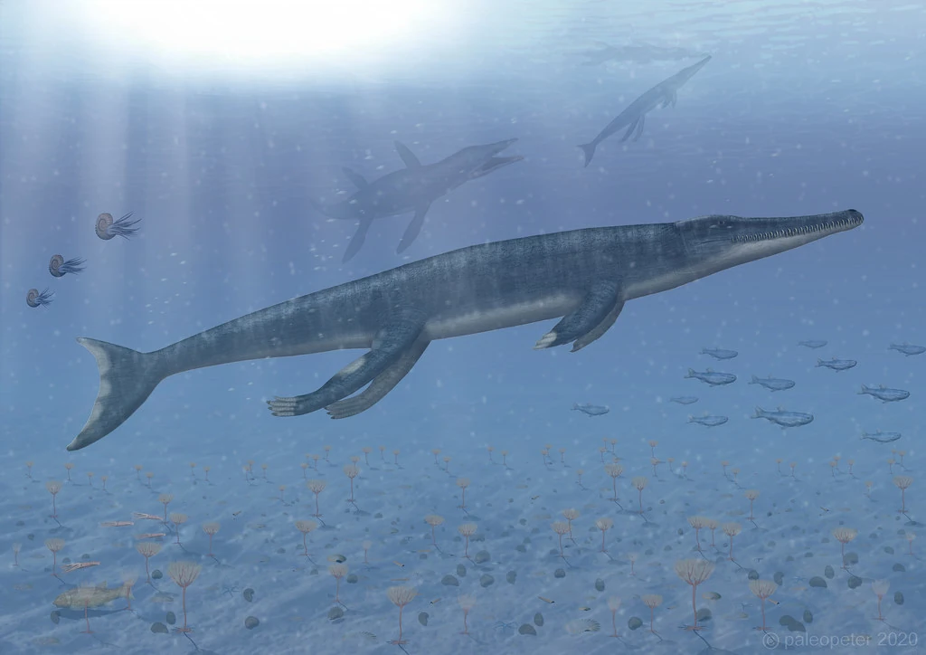 Metriorhynchus | Wiki pre-historia | Fandom