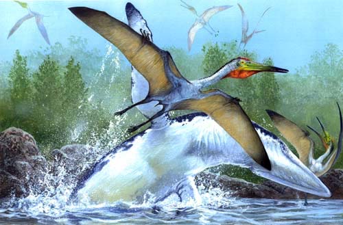 Dinossauros Pterodactilo