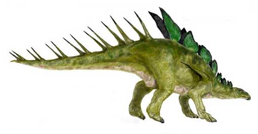 Kentrossauro | Wiki Dinossauros do lucca | Fandom