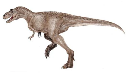 Alectrosaurus | Wiki Dinossauros do Wallace | Fandom