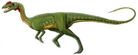 Syntarsus | Wiki Dinosurio | Fandom